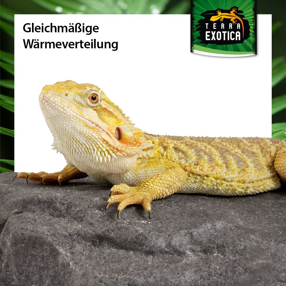 Heat Rock - Heizstein - Large - 24 Watt | 1002202